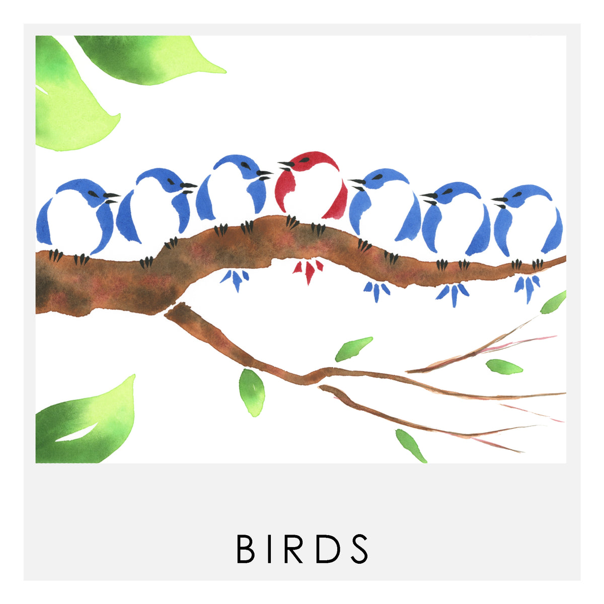 Bird Prints – Craig Whitten Art